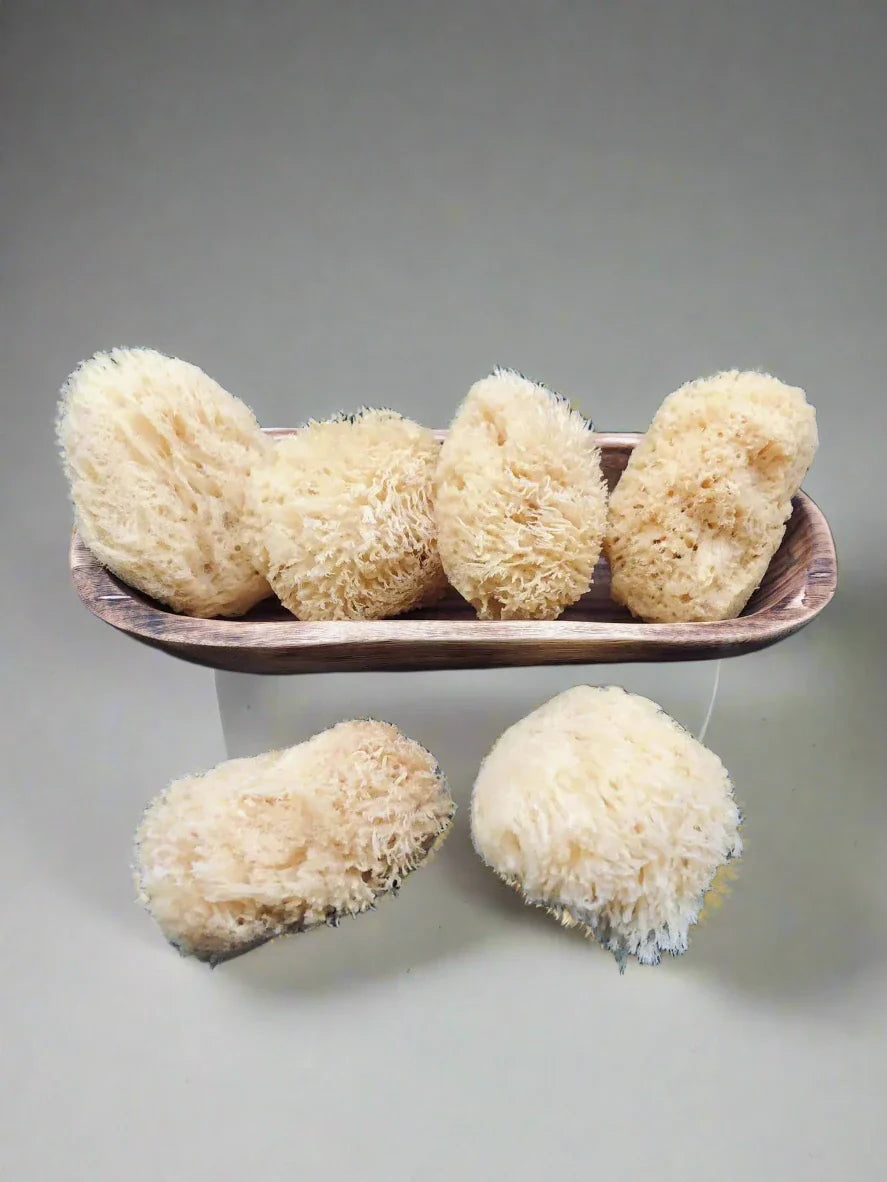 Caribbean Grass Sea Sponge – Posh Pantry